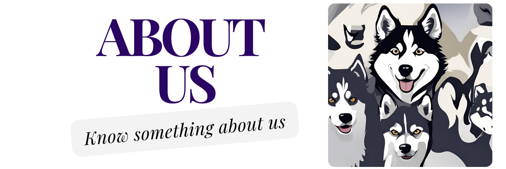 About Us - Husky Promo - Save More on Shopping